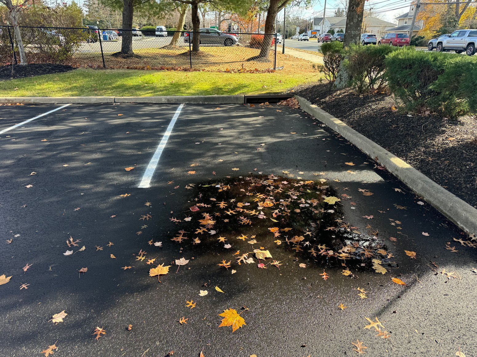 Stop Puddles Before Paving: Drainage Testing for Commercial Parking Lots
