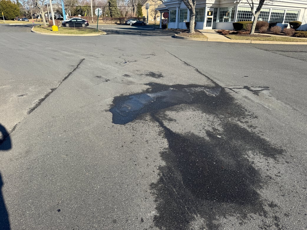 Don't Pave Over Problems: Why Ignoring Cracks and Water Issues Can Doom ...