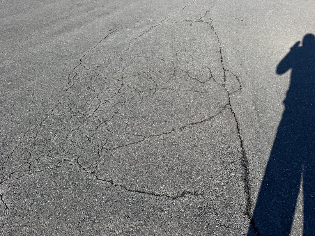 Don't Pave Over Problems: Why Ignoring Cracks and Water Issues Can Doom Your Parking Lot