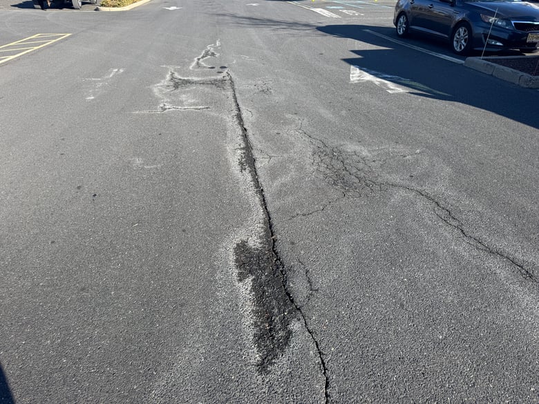 Don't Pave Over Problems: Why Ignoring Cracks and Water Issues Can Doom Your Parking Lot