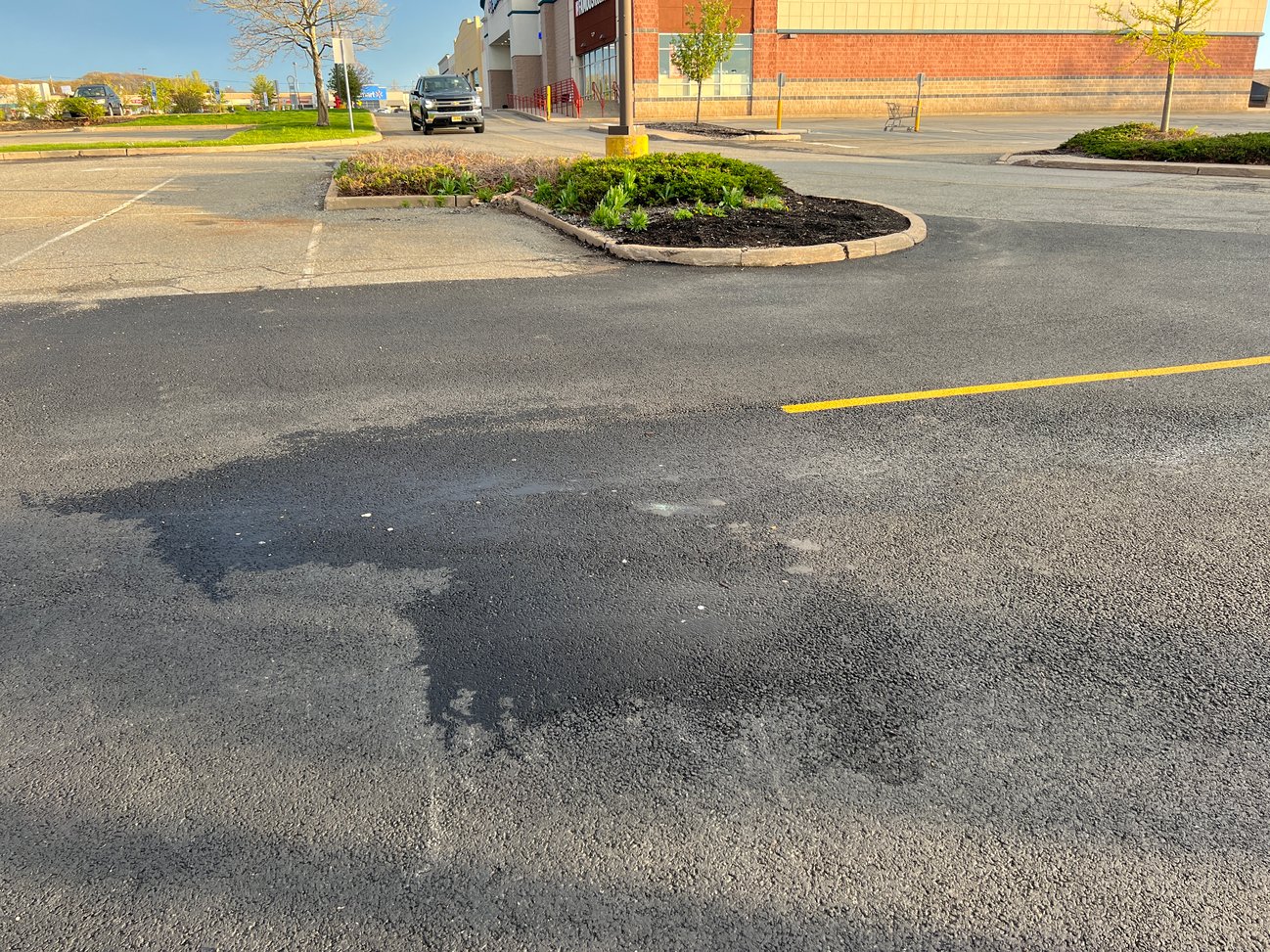 Don't Pave Over Problems: Why Ignoring Cracks and Water Issues Can Doom Your Parking Lot
