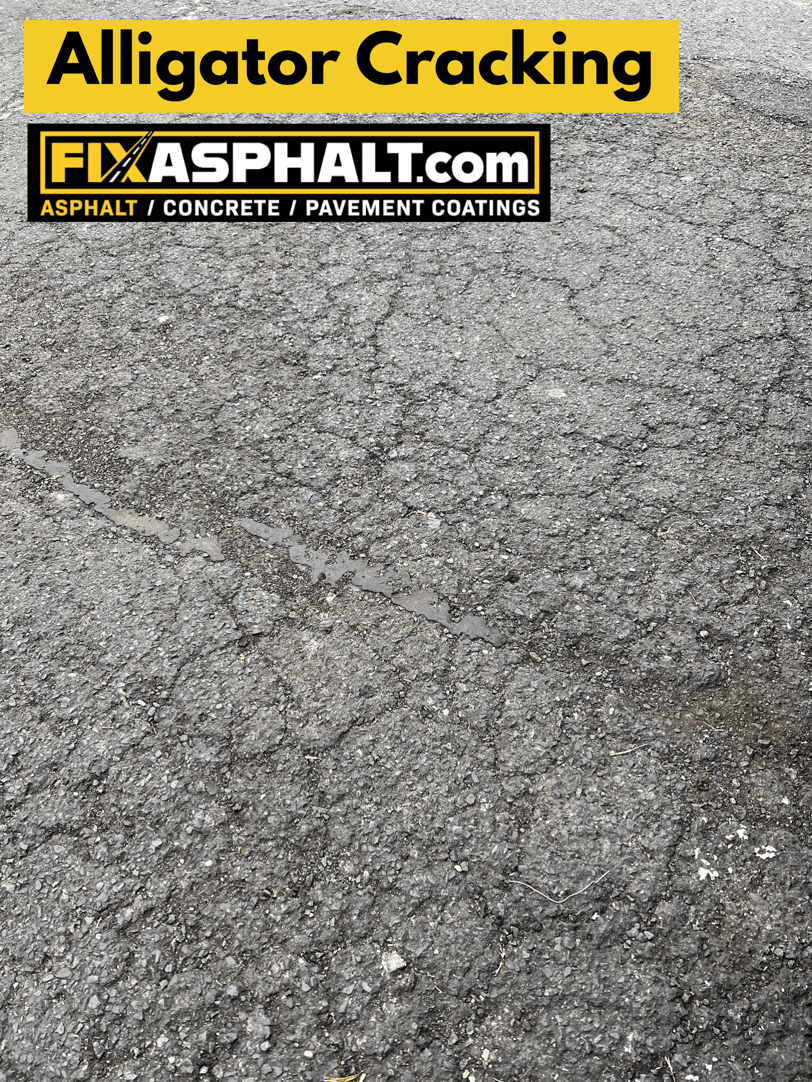 What To Do When You See Alligator Cracks In Your Parking Lot